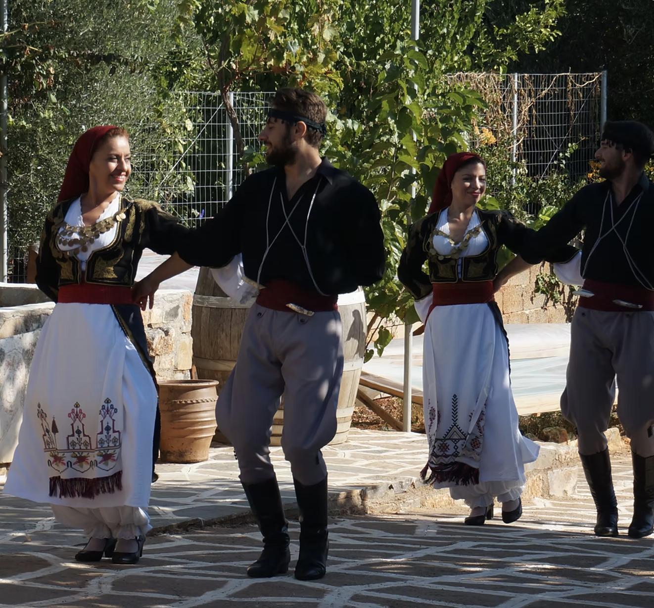 Cretan Olive Oil Farm - CBRC Health & Fitness